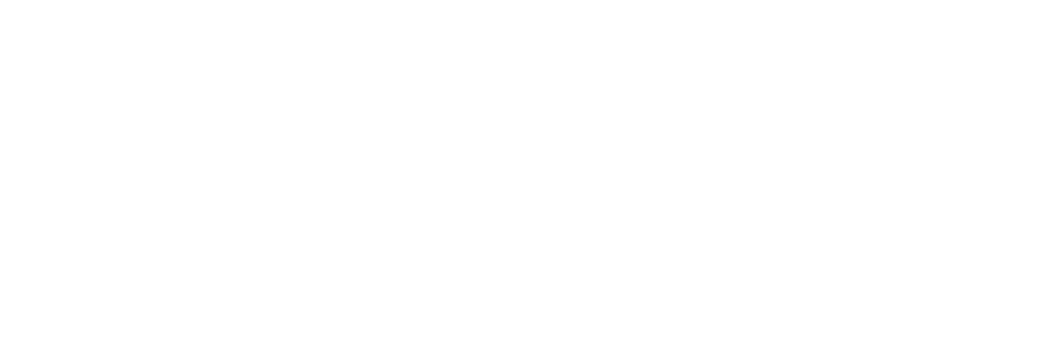 BRIEF-2 - Mind Support